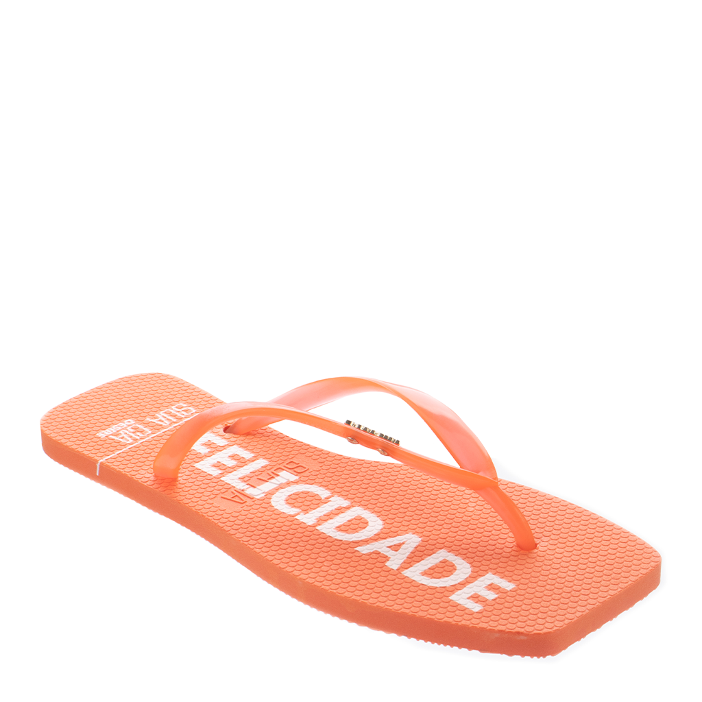 Chinelo Sua Cia Felicidade